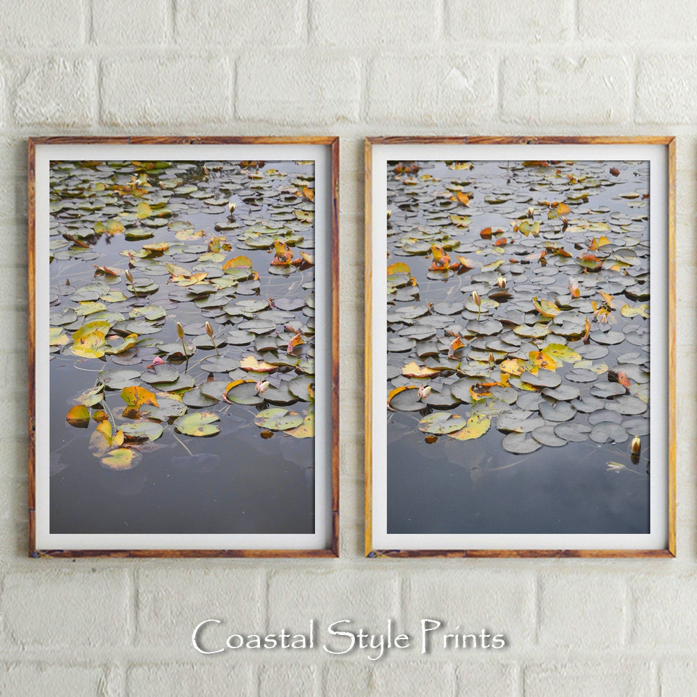 Waterlilies Art Print, Botanical Print Set of 2 Prints Landscape Print ...