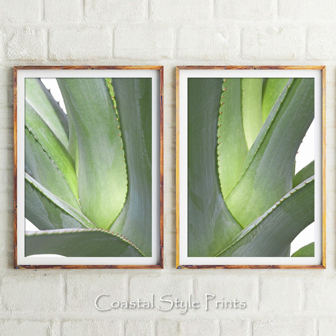 Green Botanical Print, Succulent Prints, Succulents, Set of 2 Home Art ...