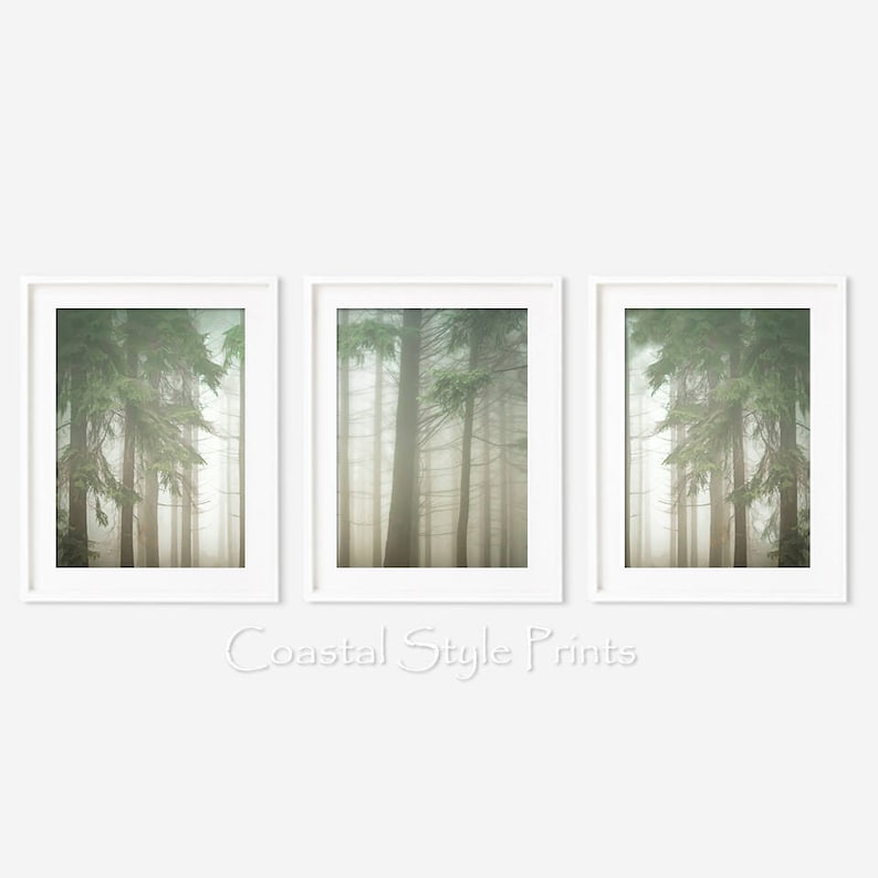 Set Of 3 Forest Prints Forest Print Nature Photography | Etsy