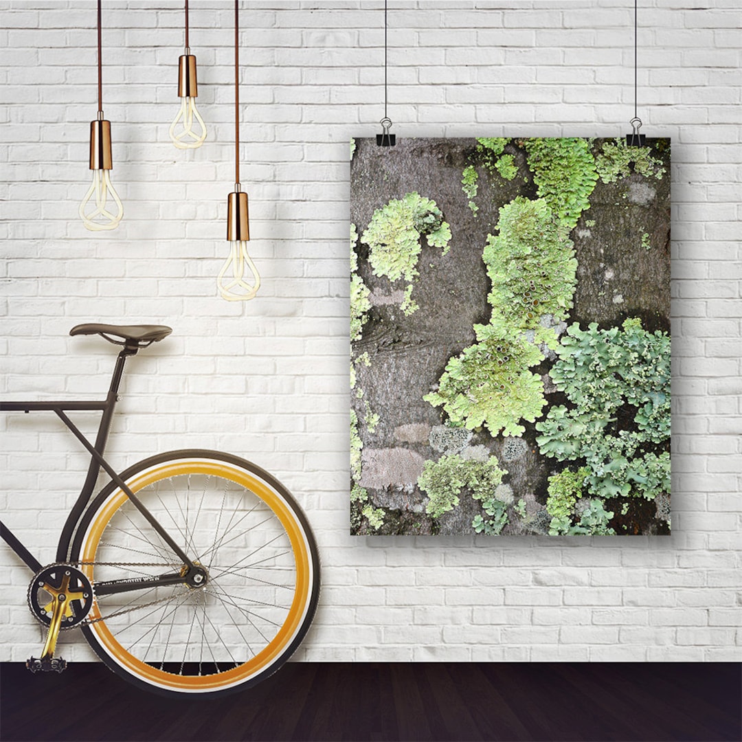 Moss Art, Moss Wall Art, Nature Print, Botanical Art Print, Printable ...