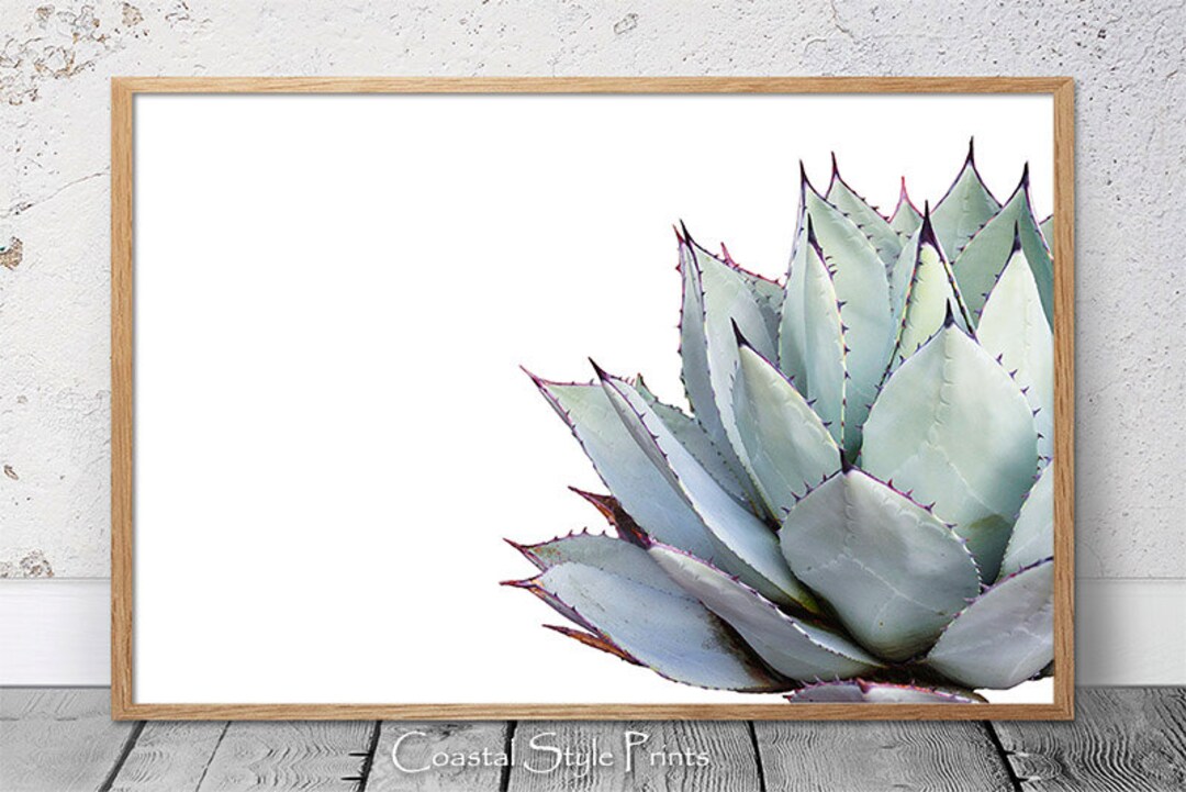Landscape Orientation, Cactus Print, Succulent, Cactus, Gray, Aqua ...