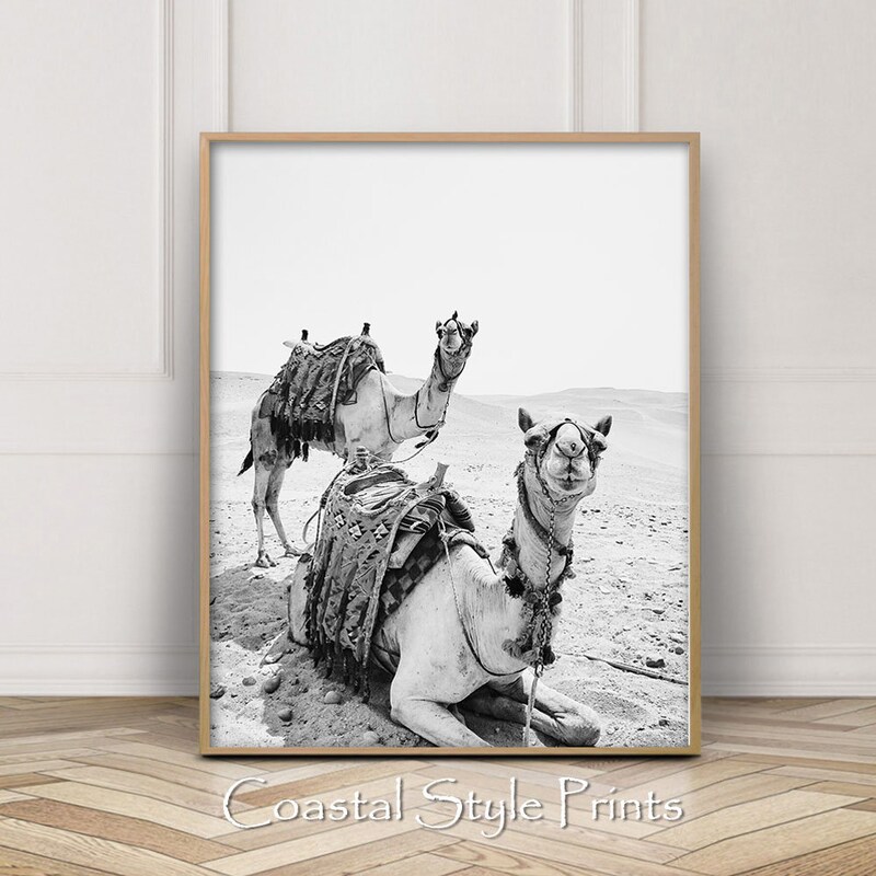 Camel Prints - Etsy