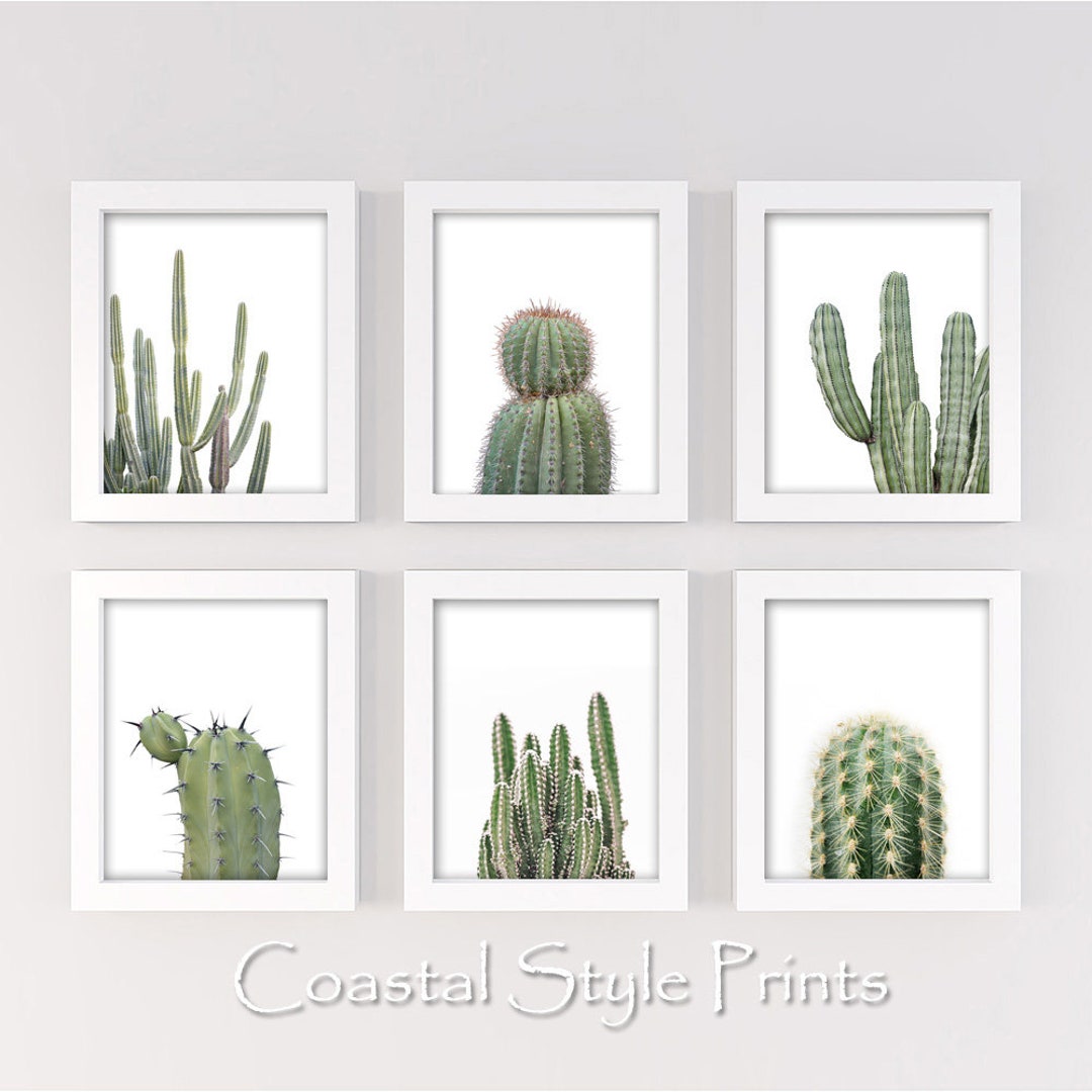 Cactus Art Set, Set of 6 Succulents, Cactus Wall Art, Cactus Print ...