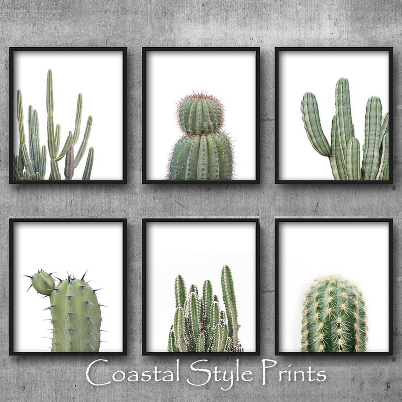 Cactus Art Set Set of 6 Succulents Cactus Wall Art Cactus - Etsy