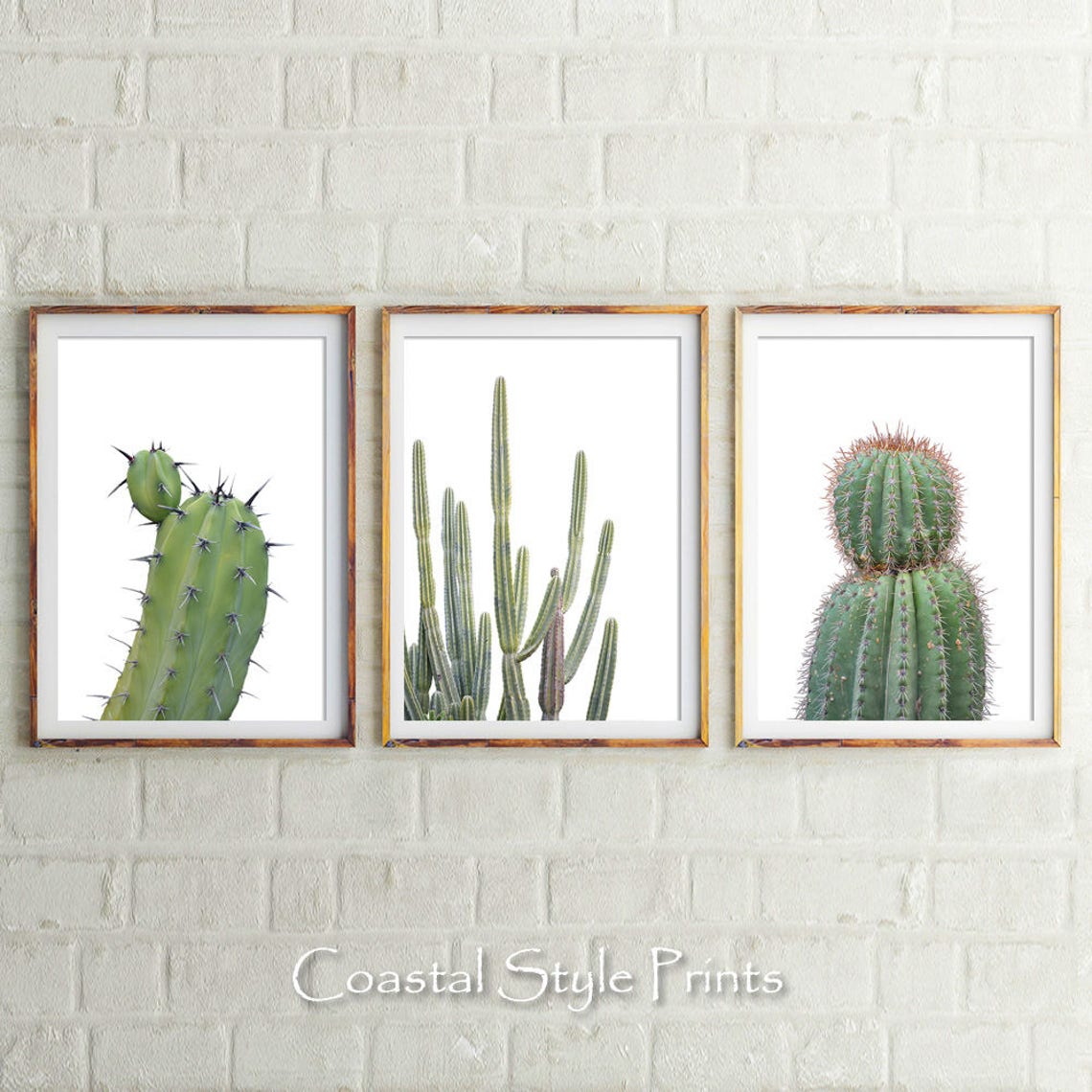 Cactus Print Setcactus Printsset of 3 Printsdesert Print - Etsy