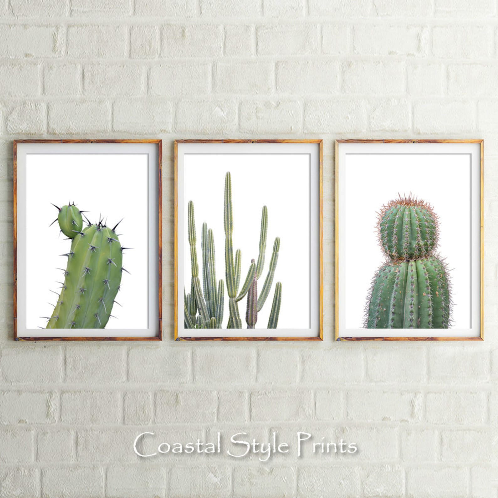 Cactus Print Setcactus Printsset of 3 Printsdesert Print - Etsy