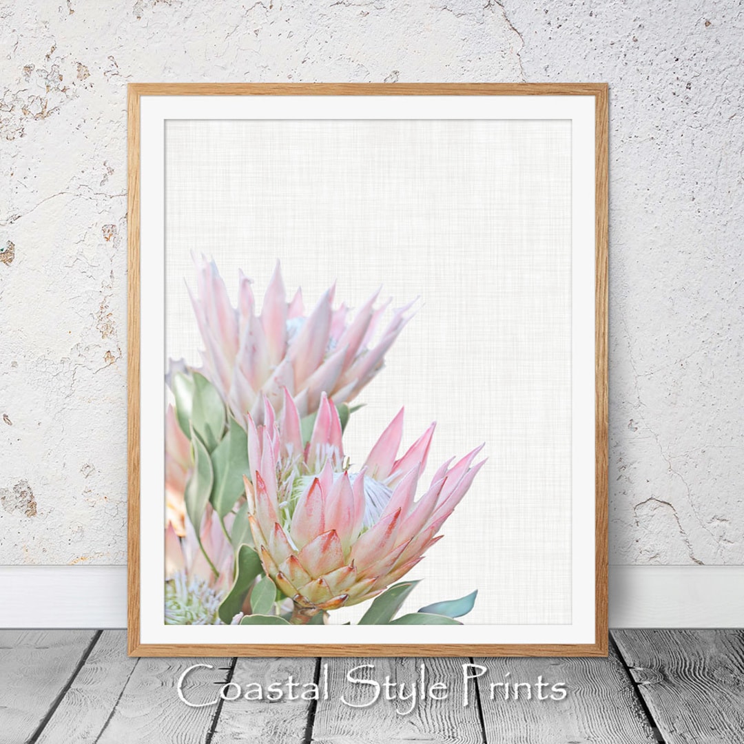 Protea Print Flower Print Printable Protea Art Wall Art Blush Pink Print Protea Flower ...