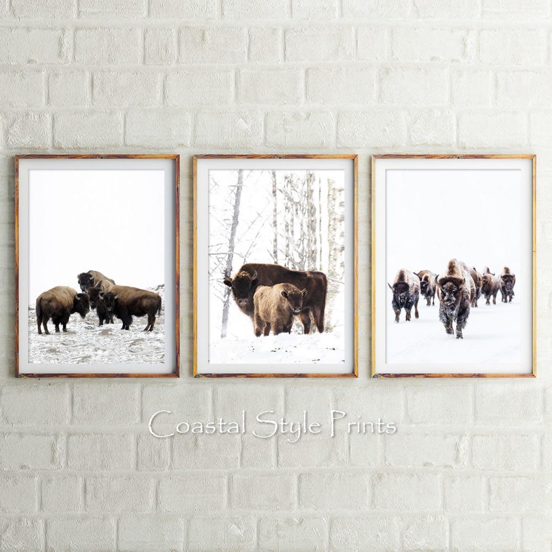 Bison Set of 3 Prints, Bison Print, Digital Prints, Animal Wall Art ...