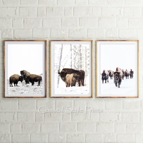 Bison Set of 3 Prints Bison Print Digital Prints Animal - Etsy