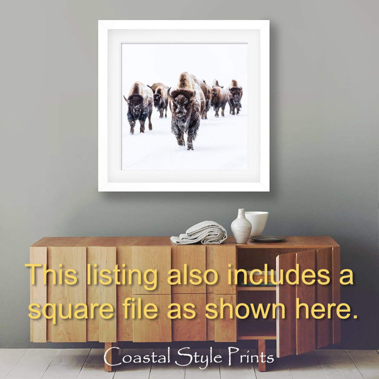 Buffalo Photography, Prints, Buffalo Print, Bison, Wall Decor, American ...
