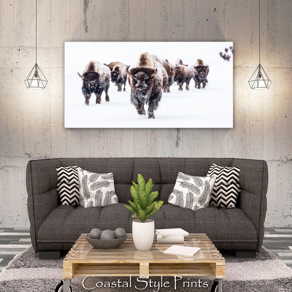 Buffalo Photography Prints Buffalo Print Bison Wall Decor | Etsy