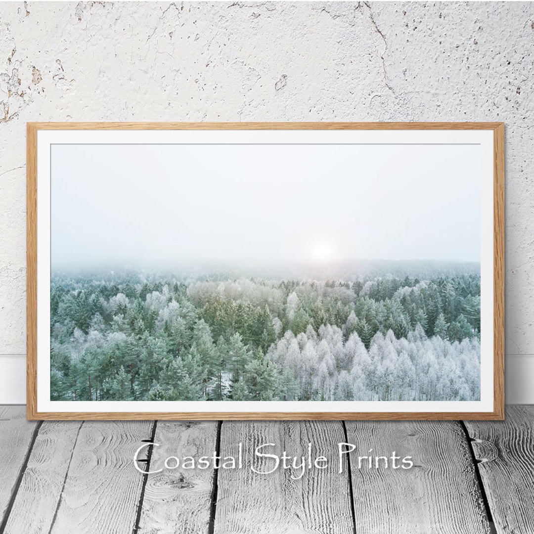 Wilderness Photography, Misty Forest Print, Country Decor,landscape ...
