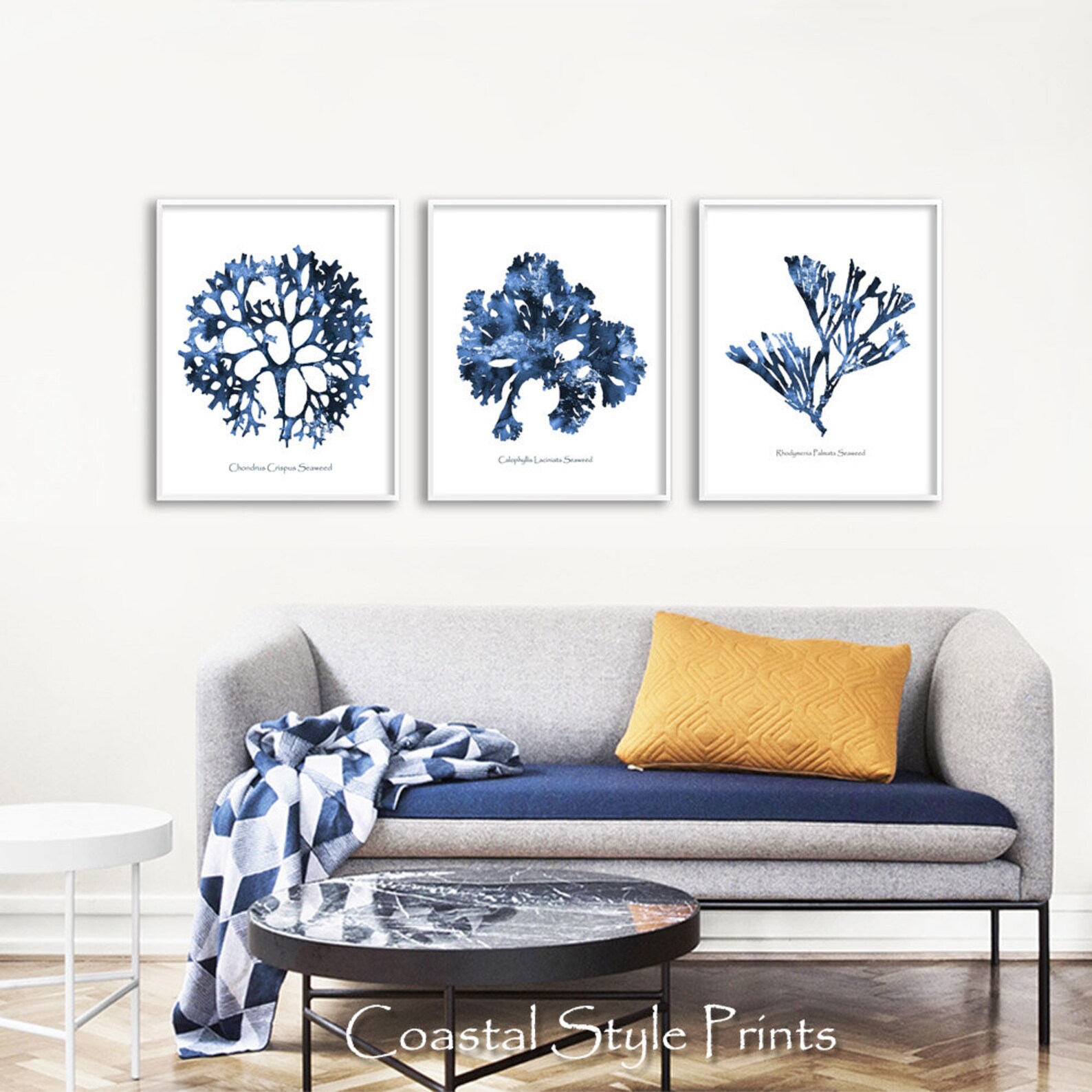 Coral and Seaweed, Set of 3 Prints, Sea Coral Wall Art,coral Print Set ...