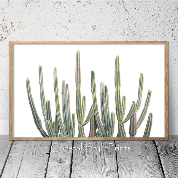 Cactus Poster - Etsy