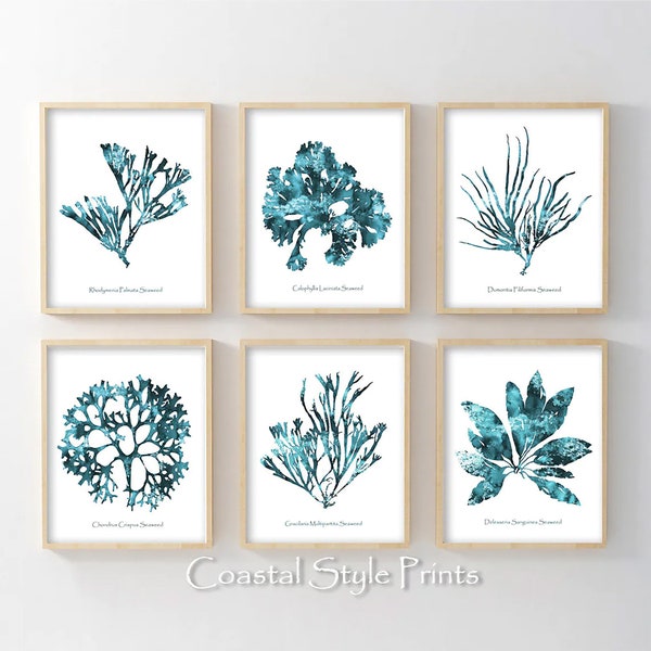 Turquoise Art Prints - Etsy