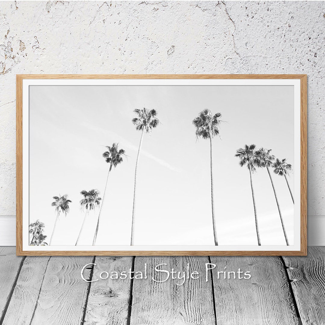 Black and White Palm Tree Print, Tropical Landscape Panorama (digital ...