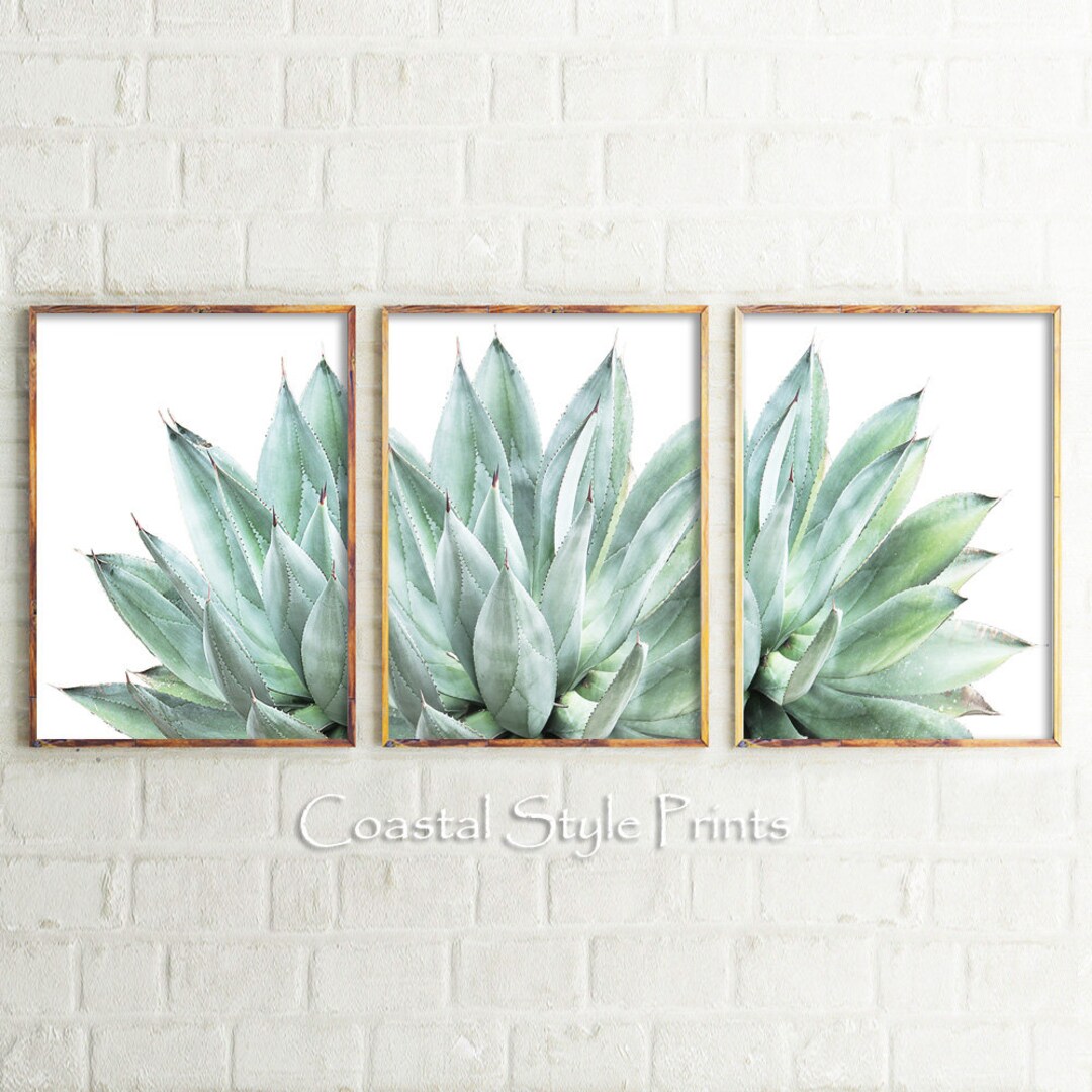 Cactus Print Set,cactus Wall Decor,modern Wall Art,cactus Print,modern ...