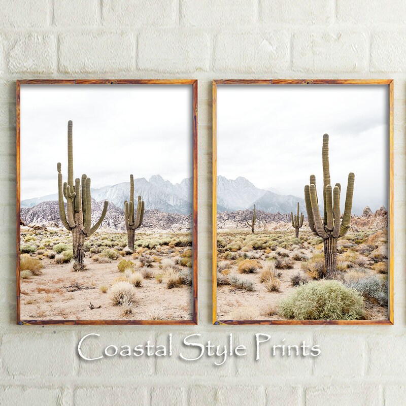 Desert Cactus Print - Etsy