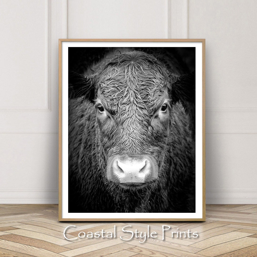 Buffalo Poster, Black and White Cow Print, Farmhouse Print, Cow Poster ...