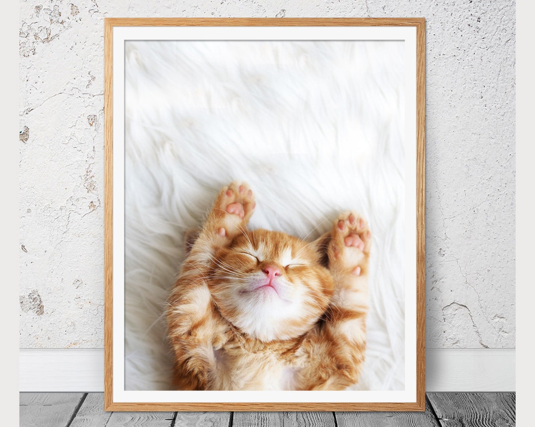 Cat Print, Baby Animal Print, Nursery Print, Kitten Print, Baby Animal ...
