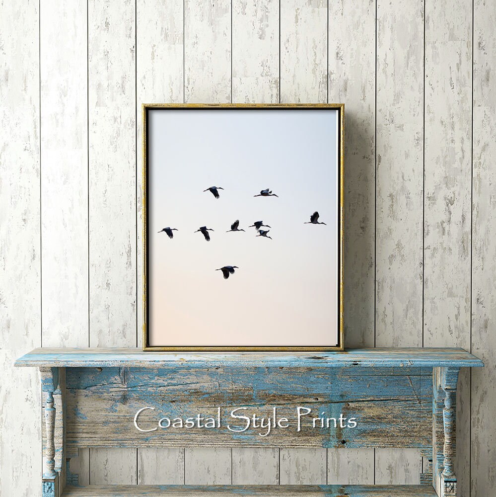 Birds PrintWall DecorPrintable Art PrintWall | Etsy