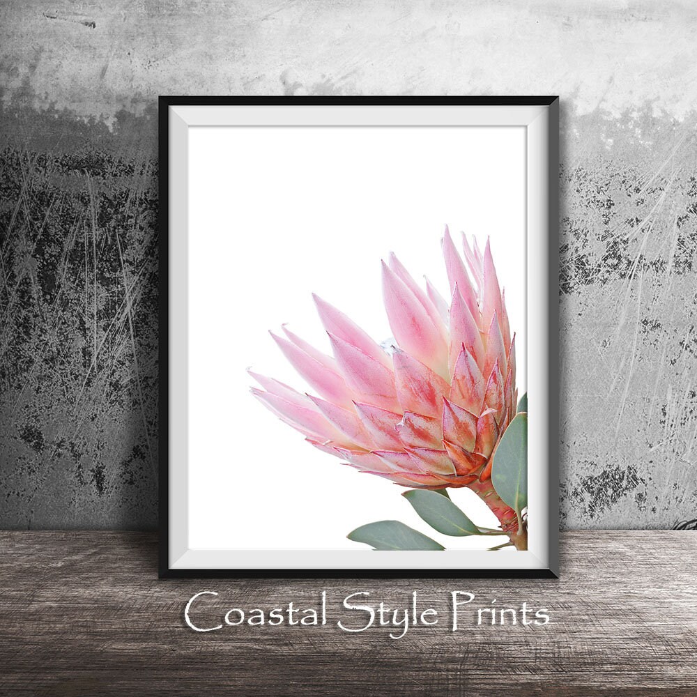 Protea Flower Wall Art, Printable Floral Art, Bedroom Print, Pink Decor ...