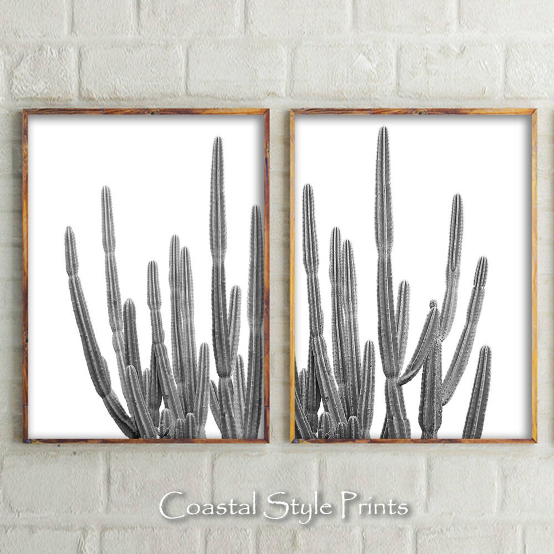 Set of 2 Cactus Prints, Black and White Photography, Cactus Wall Art ...