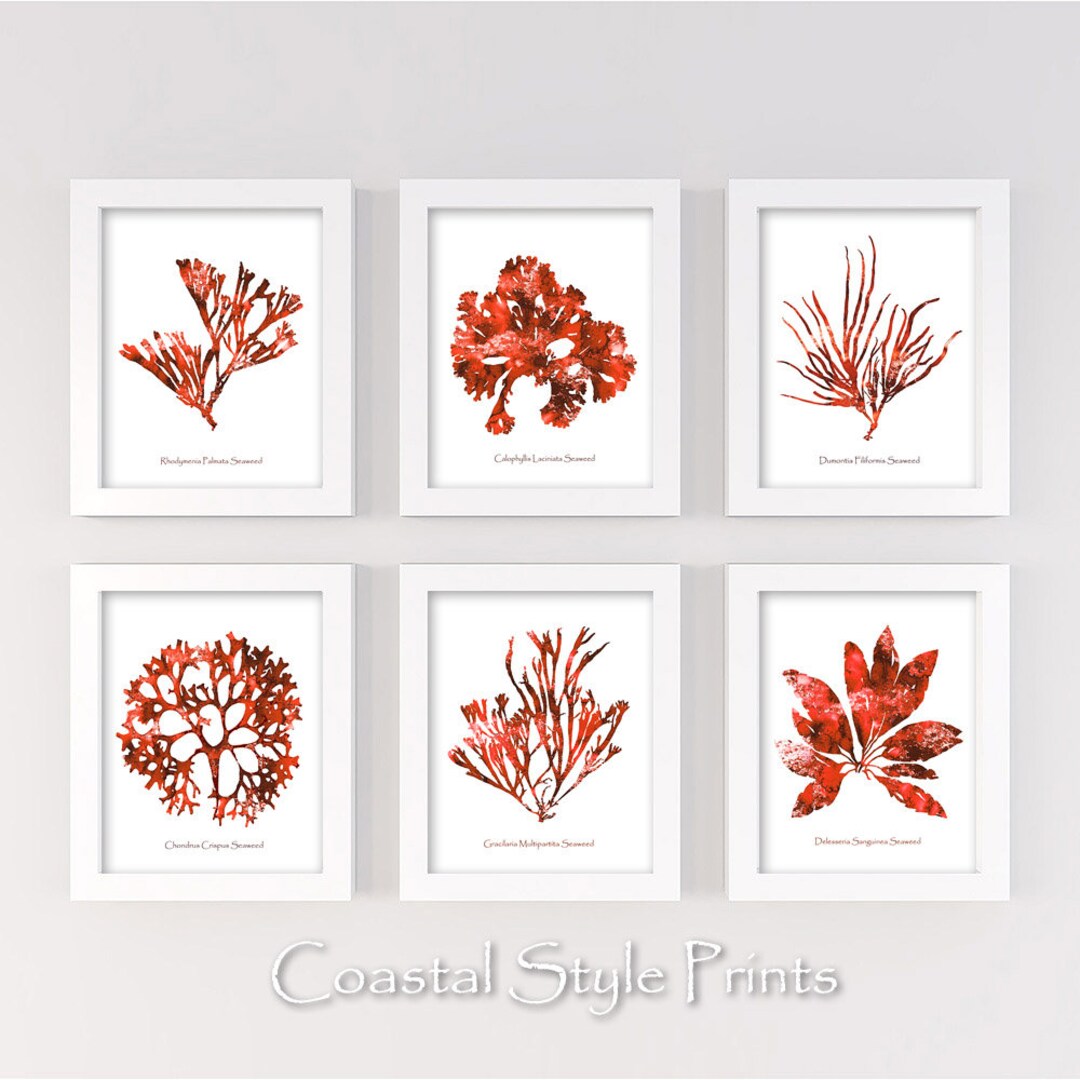 Sea Coral Hampton Home Decor,set of 6 Coral Prints,wall Decor,red ...
