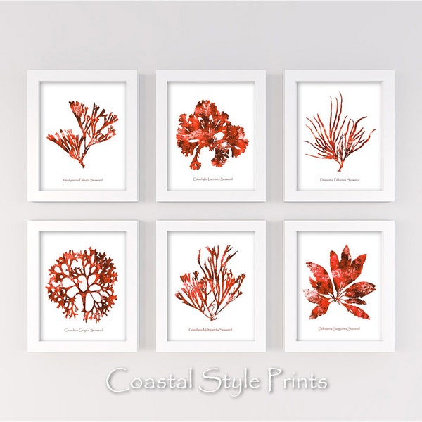 Red Coral Print - Etsy