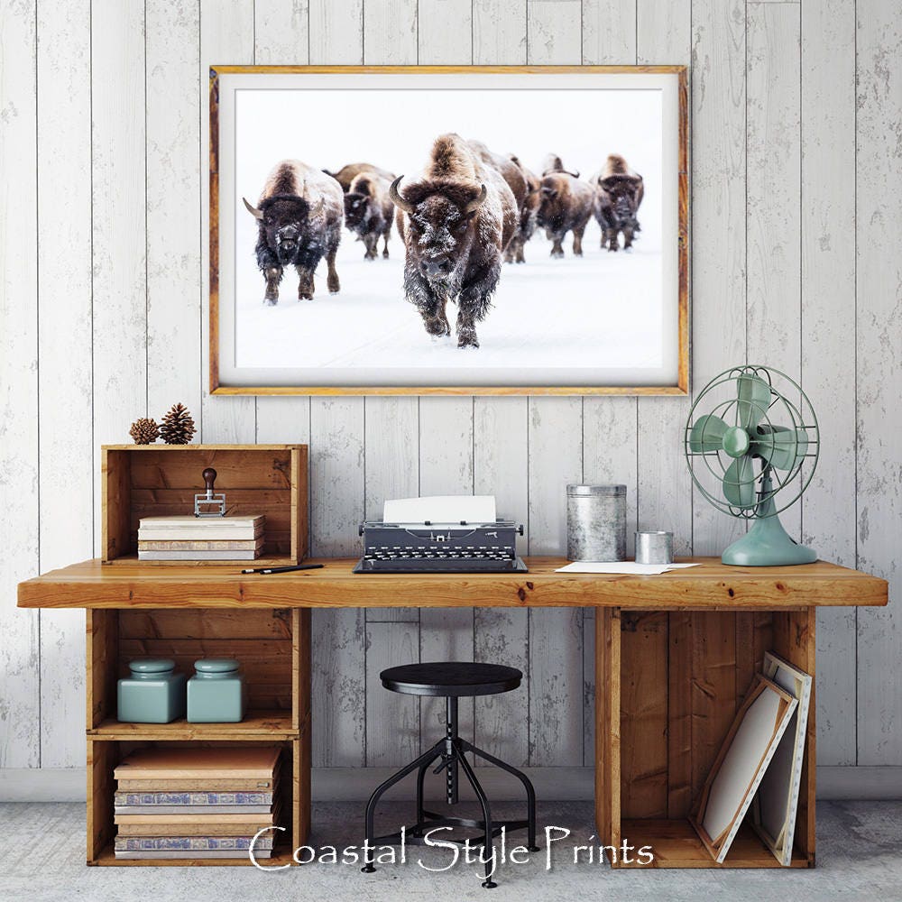 Buffalo Photography Prints Buffalo Print Bison Wall Decor | Etsy
