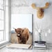 Highland Cow Print, Printable Animal, Cow Print, Modern Wall Art ...