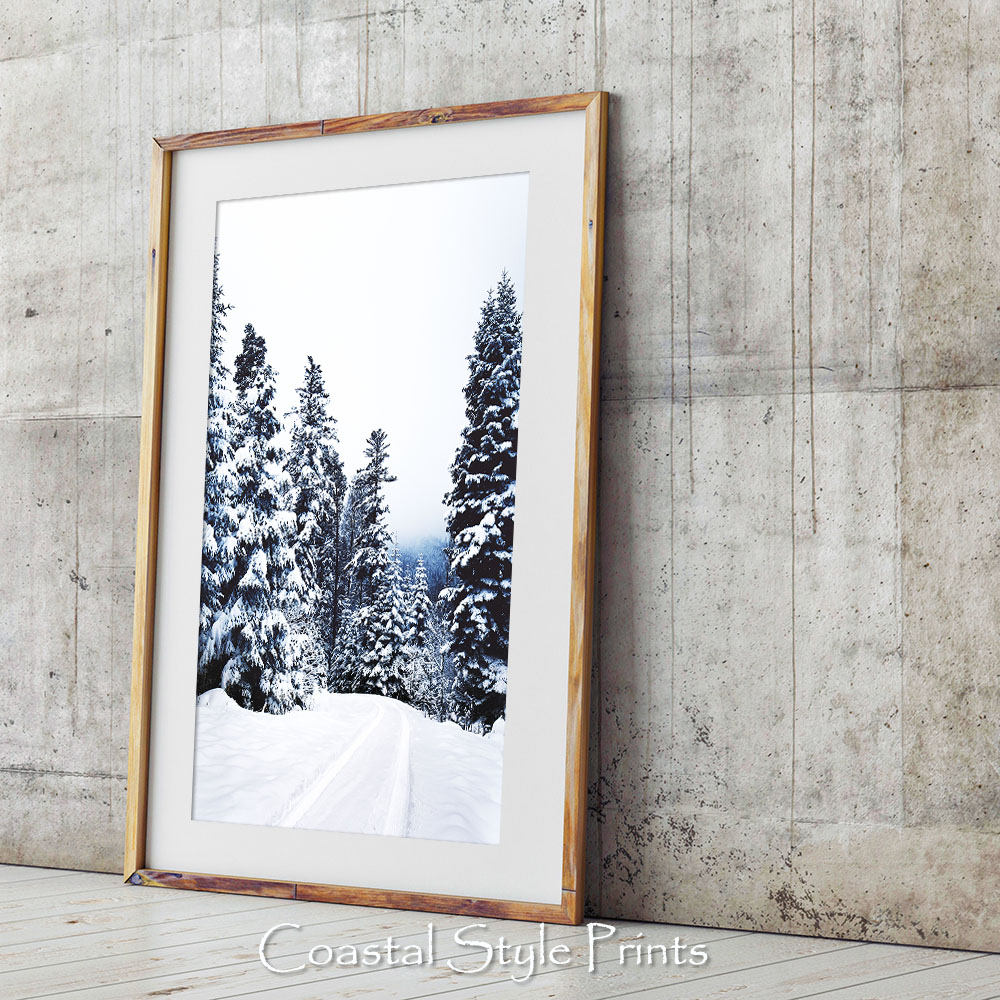 Snow Print Winter Print Snow Photography Christmas Print | Etsy