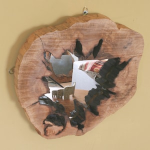 Tree Slice Log Mirror Live Edge Wood Rustic Elm Wood From a Tree Cross ...