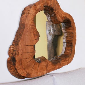 Huge Very Rare Tree Slice Log Asymmetrical Mirror Natural Wood Frame ...