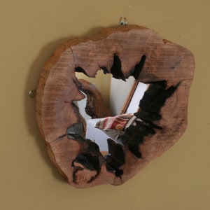 Tree Slice Log Mirror Live Edge Wood Rustic Elm Wood From a Tree Cross ...