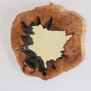 Tree Slice Log Mirror Live Edge Wood Rustic Elm Wood From a Tree Cross ...