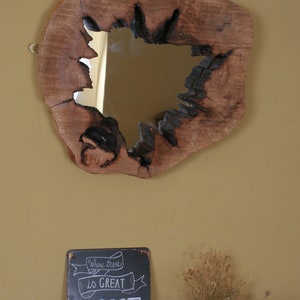 Tree Slice Log Mirror Live Edge Wood Rustic Elm Wood From a Tree Cross ...