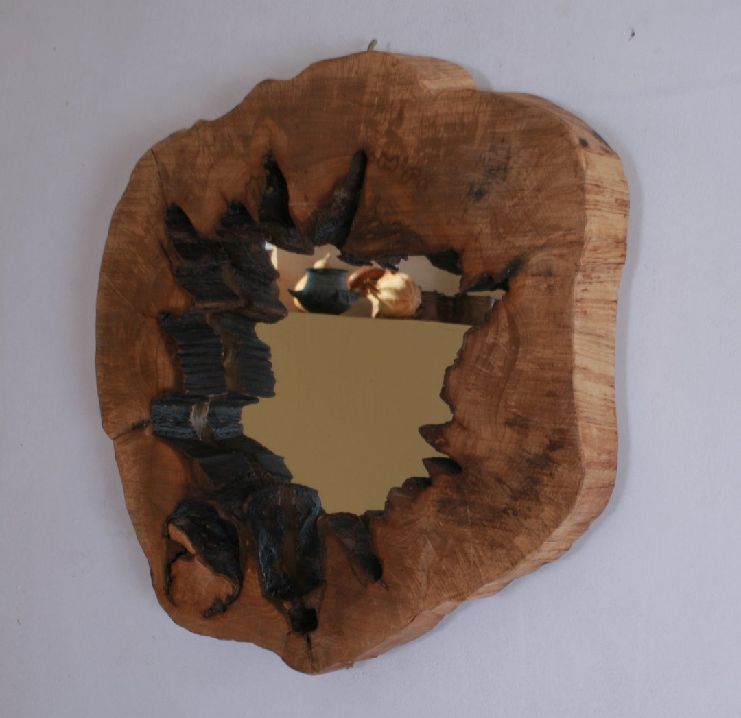 Tree Slice Log Mirror Live Edge Wood Rustic Elm Wood From a Tree Cross ...