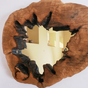 Tree Slice Log Mirror Live Edge Wood Rustic Elm Wood From a Tree Cross ...