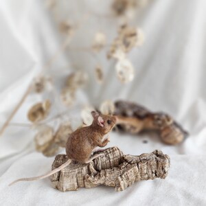Needle Felted Field Mouse: Wool Miniature Woodland Animal Ornament - Etsy