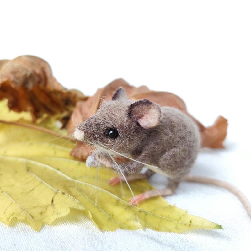 Felted Mouse House Art - Etsy UK