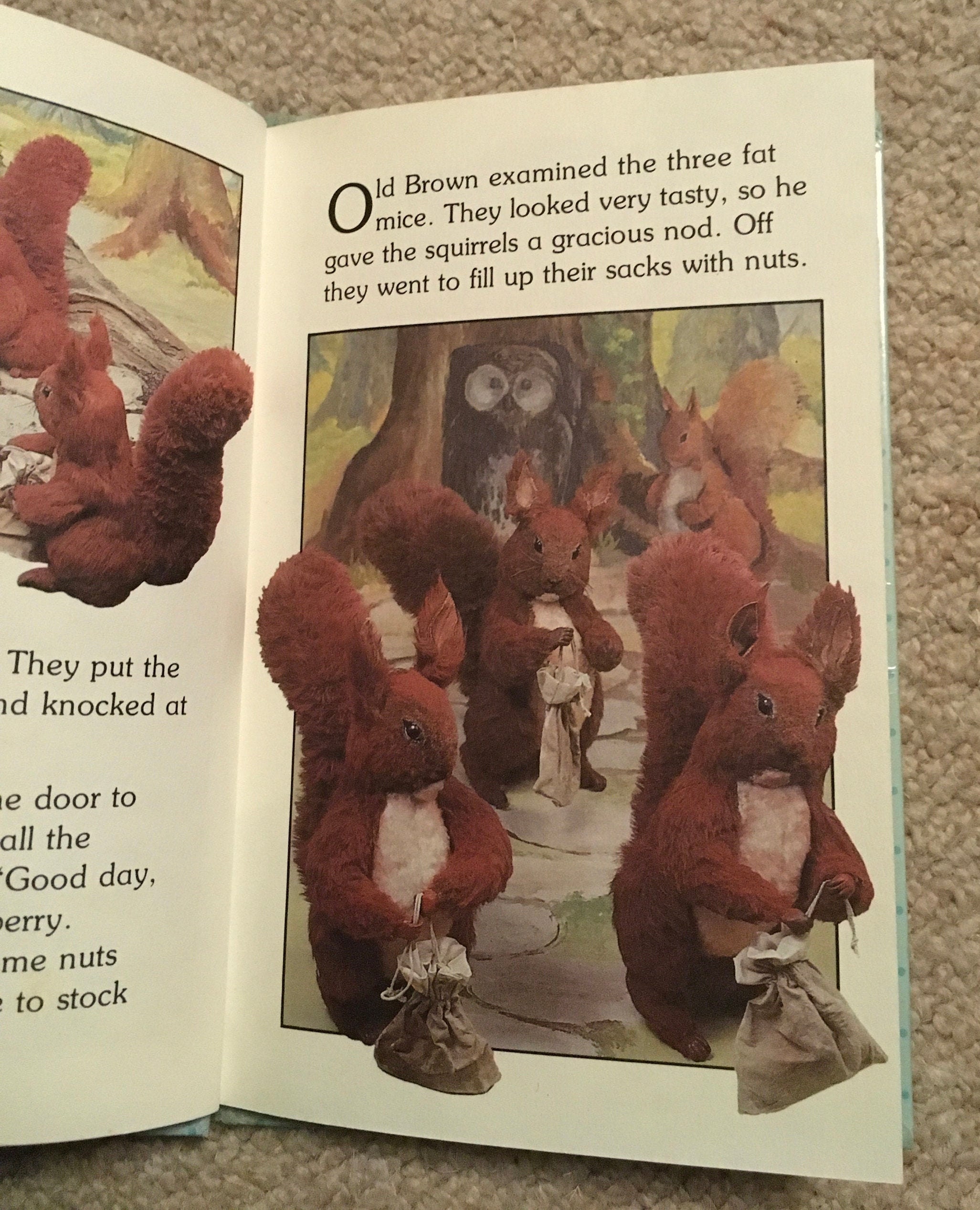 The Tale of Squirrel Nutkin, Tale of Peter Rabbit, Vintage Ladybird ...