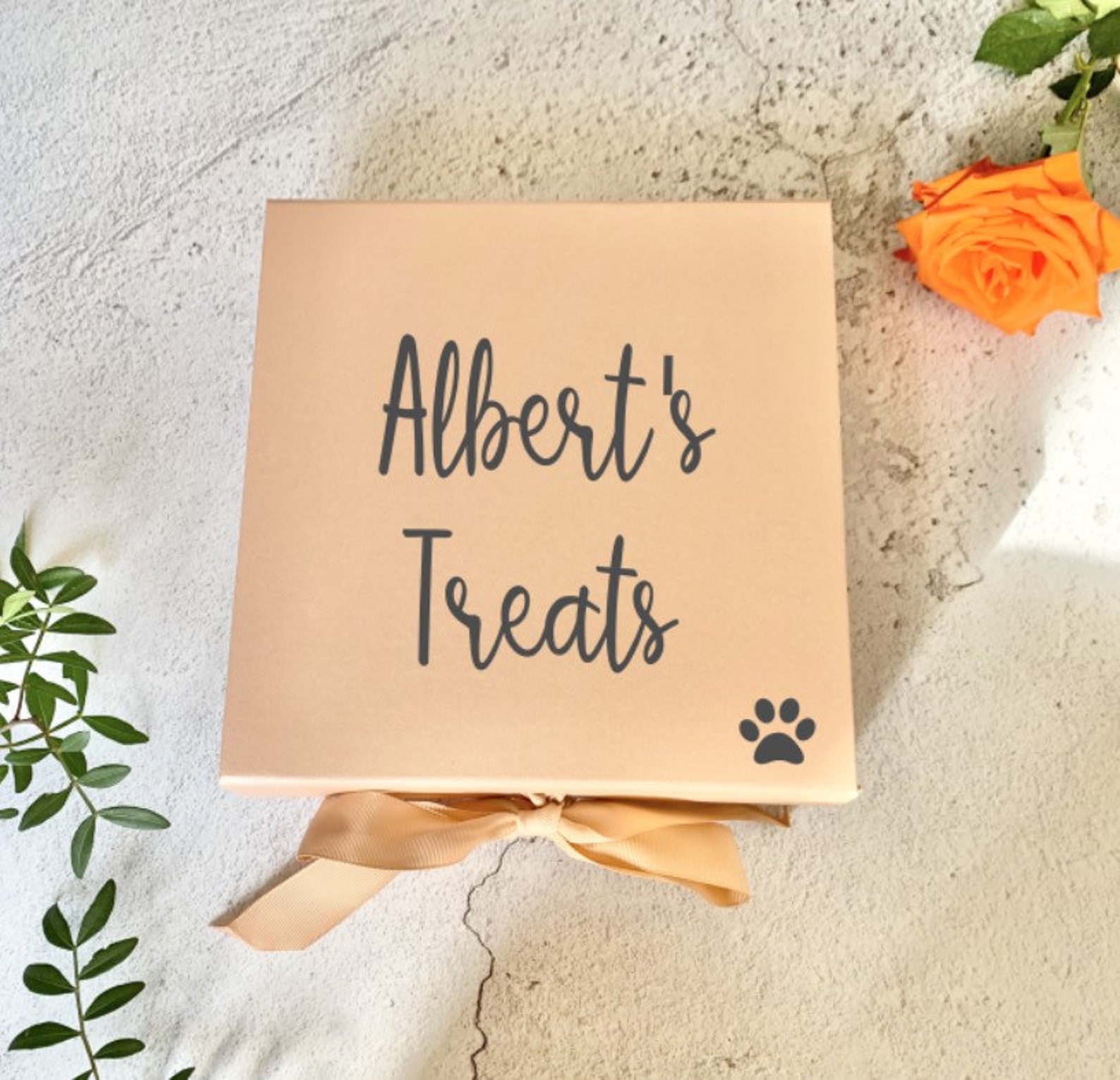 Dog treats box dog food storage pet food storage box dog | Etsy