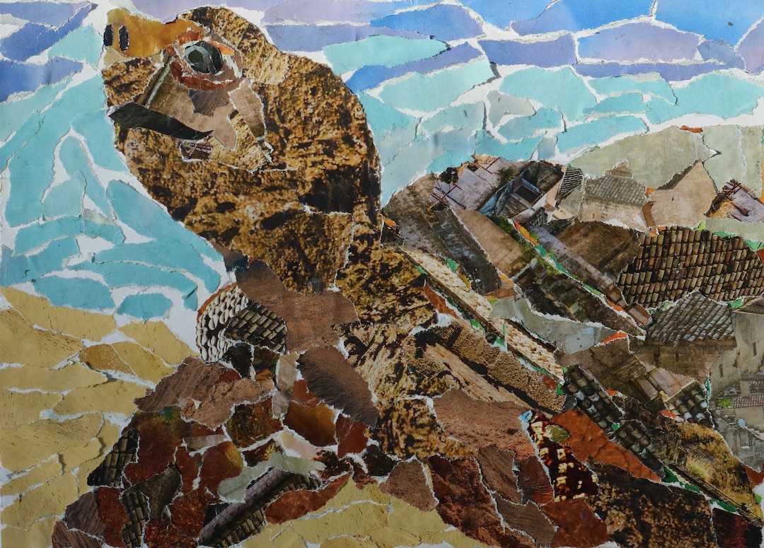 African Tortoise Collage A4 Print - Etsy