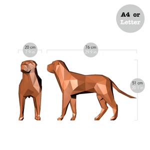 Printable DIY Template (PDF). Dog (rottweiler) Low Poly Paper Model ...