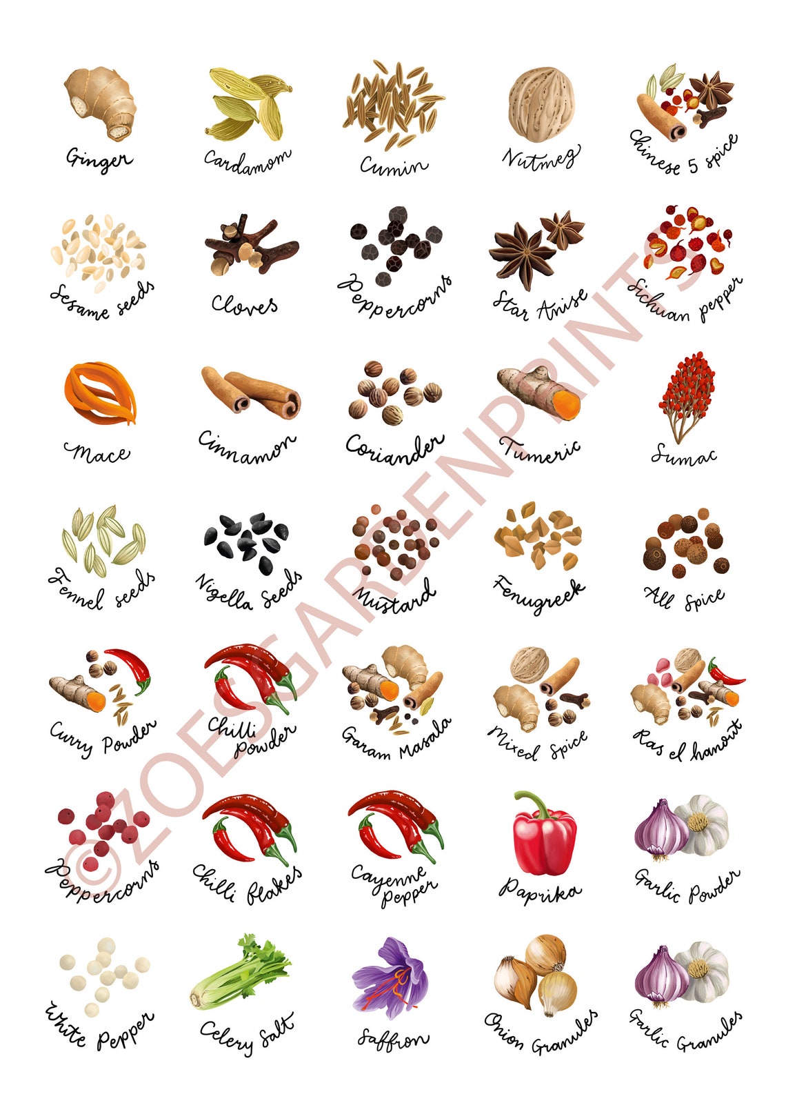Herbs and Spices Stickers A4 Sheet of 35 Circular Stickers | Etsy