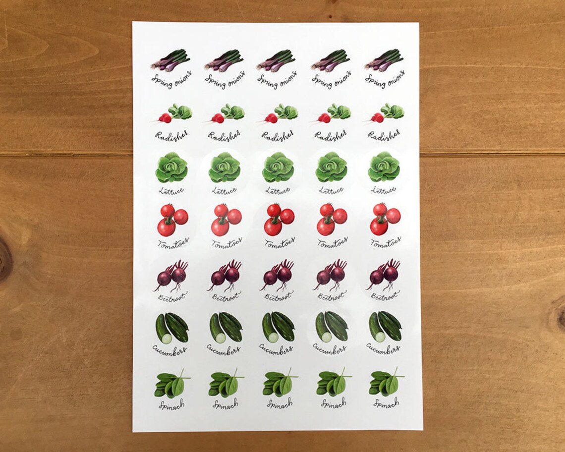 Custom Sticker Sheets Single Vegetable Fruit Herb or Flower - Etsy