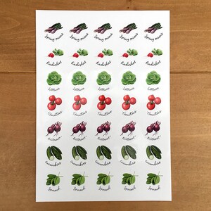Custom Sticker Sheets, Single Vegetable, Fruit, Herb or Flower per ...