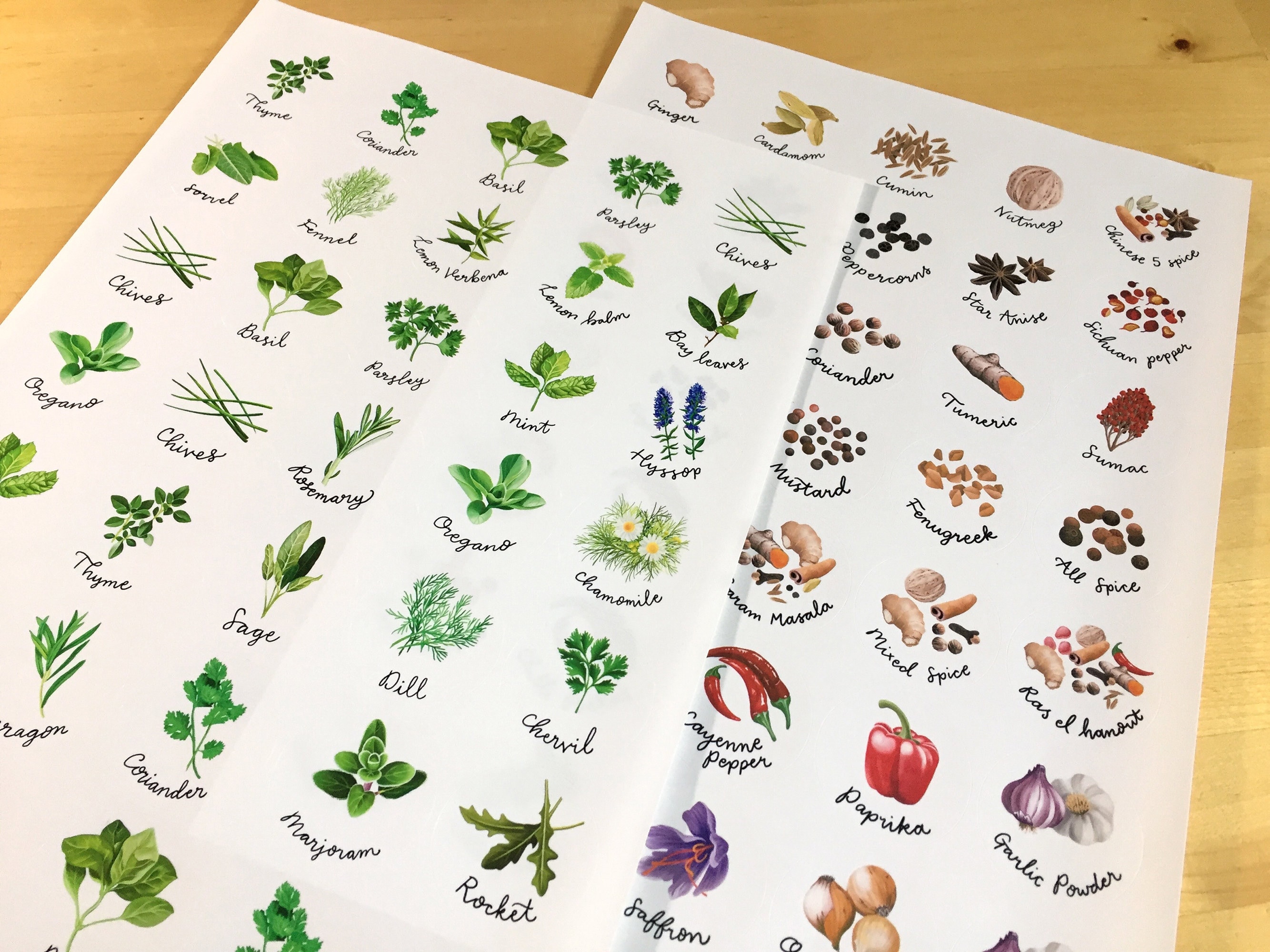 Herbs and Spices Stickers A4 sheet of 35 circular stickers | Etsy