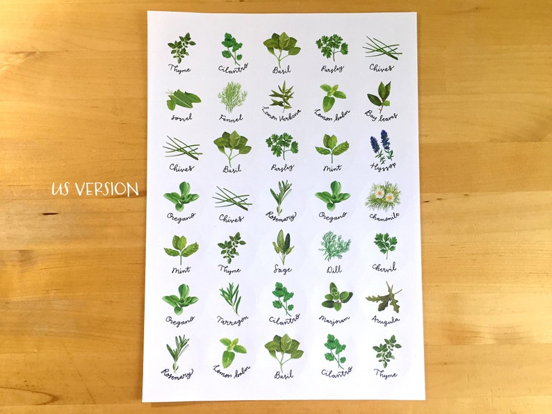 Herbs and Spices Stickers A4 sheet of 35 circular stickers | Etsy